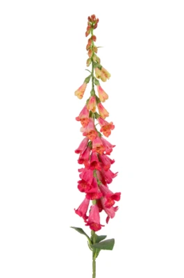 Artificial Foxglove Deals ⇒ Best Sales in UK | Dealsan