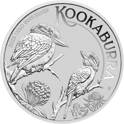 Best 1 Kilo Kookaburra Deals | Dealsan