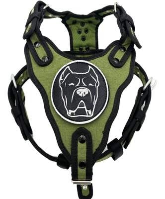 Best Cane Corso Harness Deals | Dealsan