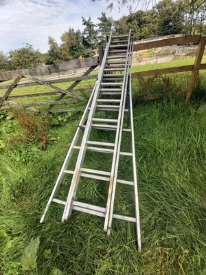 Triple Extension Ladders Deals ⇒ Best Sales in UK | Dealsan