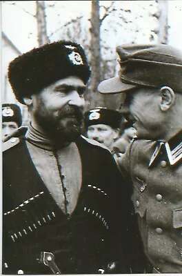 Best German Cossack Deals | Dealsan