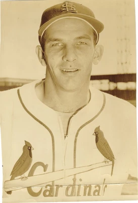 Best Del Rice Photo Deals | Dealsan