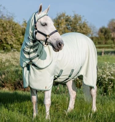 Rambo Horse Rugs Deals ⇒ Best Sales in UK | Dealsan