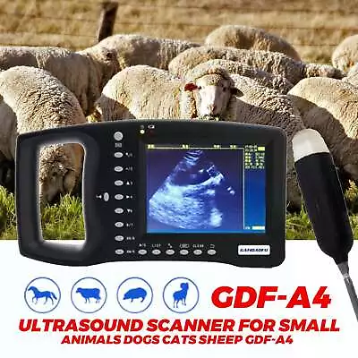 Veterinary Ultrasound Deals ⇒ Best Sales in UK | Dealsan
