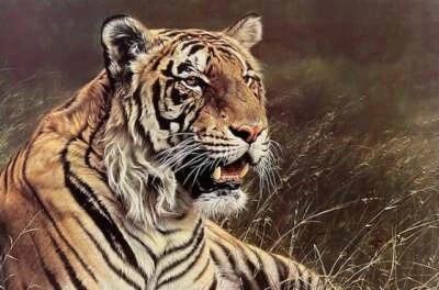 Alan Hunt Deals ⇒ Best Sales in UK | Dealsan