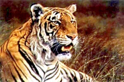 Alan Hunt Deals ⇒ Best Sales in UK | Dealsan