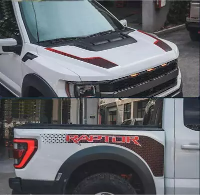Best Raptor Decals Deals | Dealsan