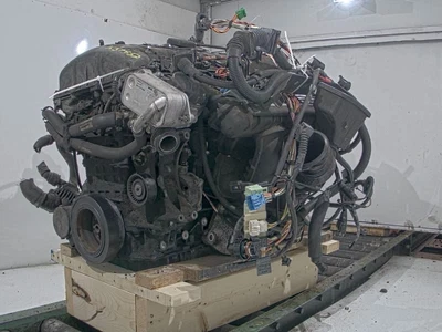 Best Bmw 525i Engine Deals | Dealsan