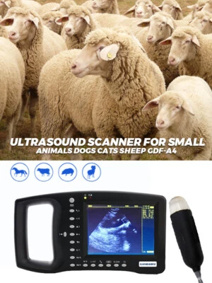 Veterinary Ultrasound Deals ⇒ Best Sales in UK | Dealsan