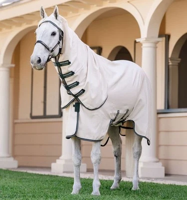 Rambo Horse Rugs Deals ⇒ Best Sales in UK | Dealsan