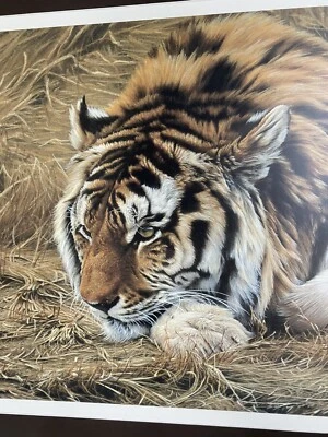 Alan Hunt Deals ⇒ Best Sales in UK | Dealsan