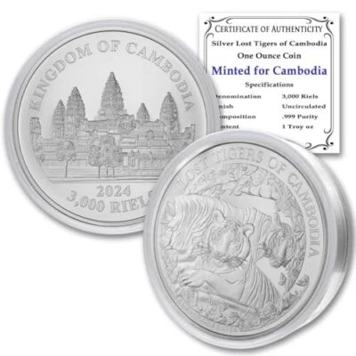 Best Cambodian Silver Deals | Dealsan