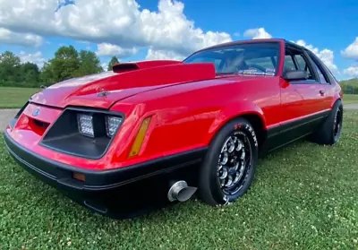 Best Ford Racing Wheels Deals | Dealsan