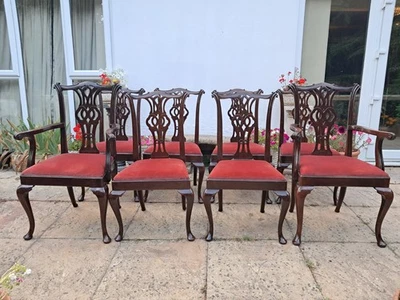 French Carver Chair Deals ⇒ Best Sales in UK | Dealsan