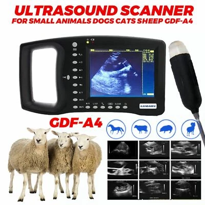 Veterinary Ultrasound Deals ⇒ Best Sales in UK | Dealsan