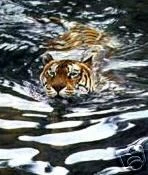 Alan Hunt Deals ⇒ Best Sales in UK | Dealsan