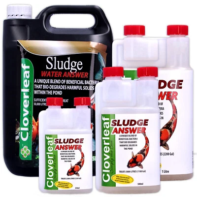 Pond Filter Deals ⇒ Best Sales in UK | Dealsan