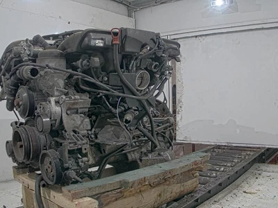 Best Bmw 525i Engine Deals | Dealsan